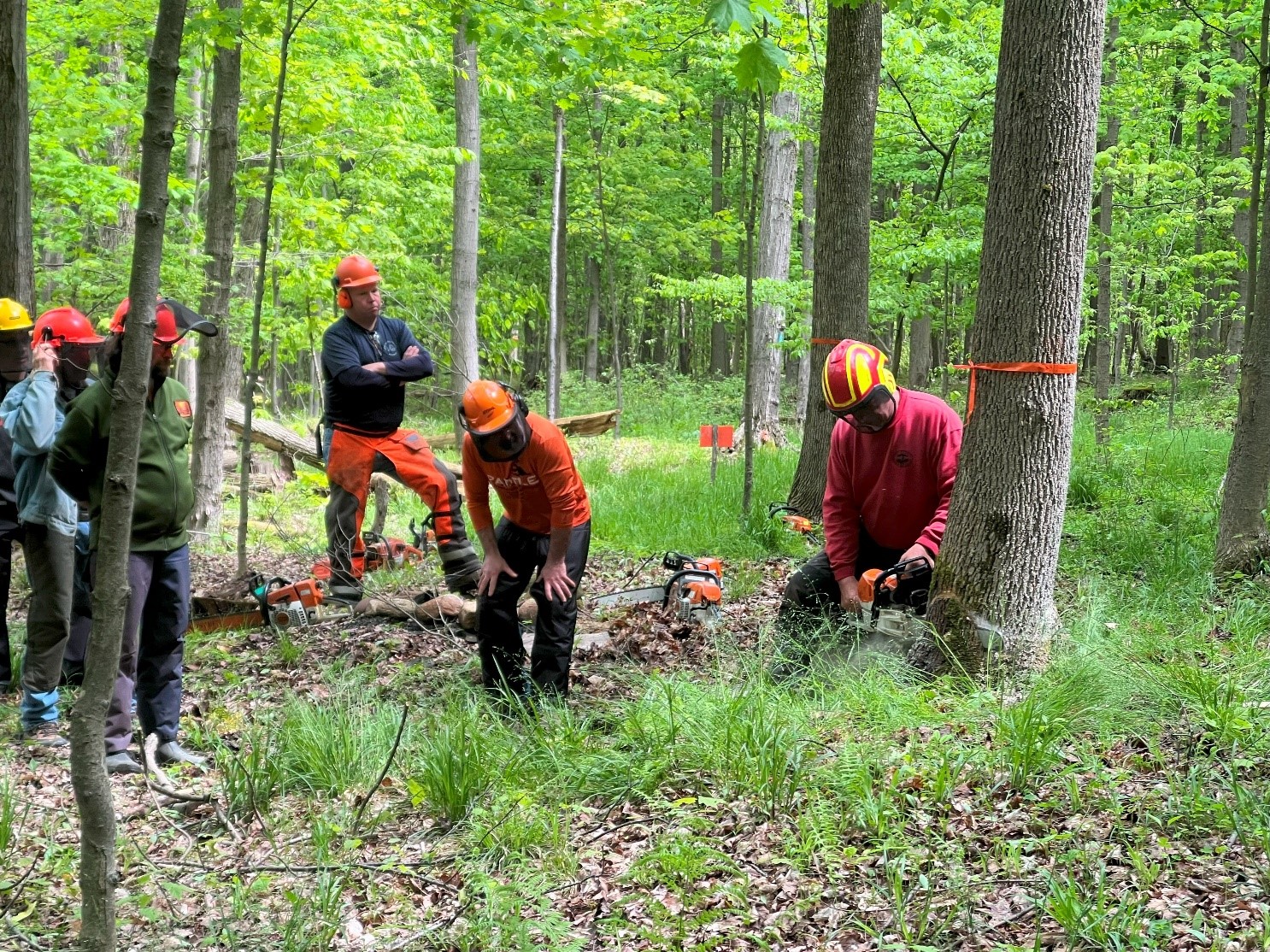 Chainsaw Training Courses Continue May 13 | News, Sports, Jobs - Post ...